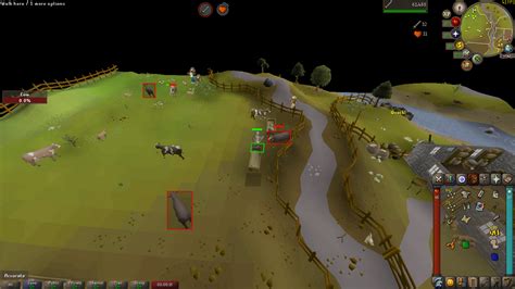 Cows Object Detection Model By Runelite