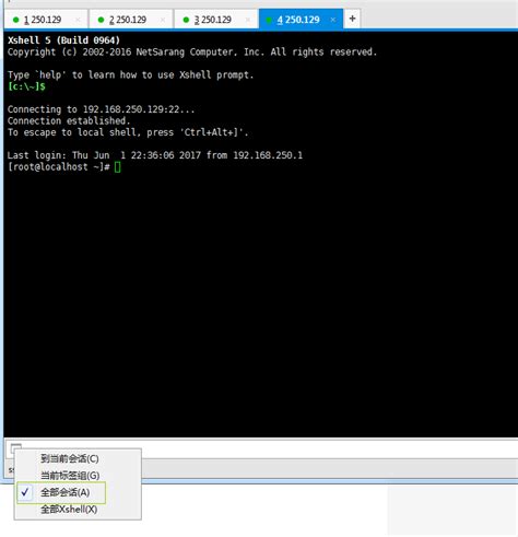 xshell多窗口执行同一个命令 xshell两个窗口一起执行命令 csdn博客