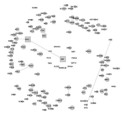 Prioritization Analysis Of Degs In The Total Degs Ppi Subnetwork A