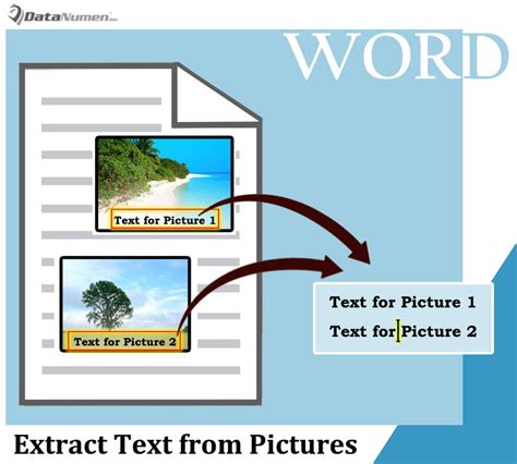 Extract Text From Word Knowneet