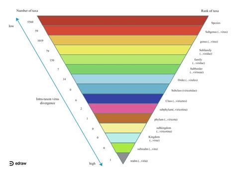 Taxonomy Chart Template