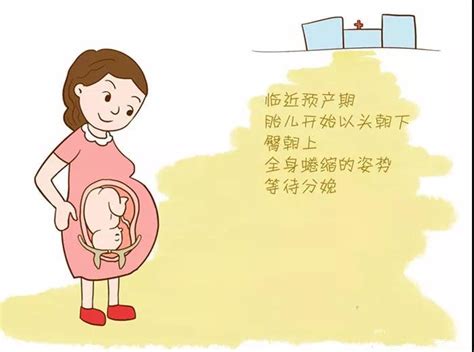 你的预产期准吗？ 知乎