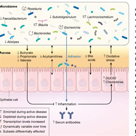 Pdf The Integrative Human Microbiome Project