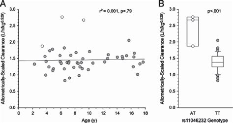 Allometric Scaling To Approximate Organ Size Comparing The Wild Type Download Scientific