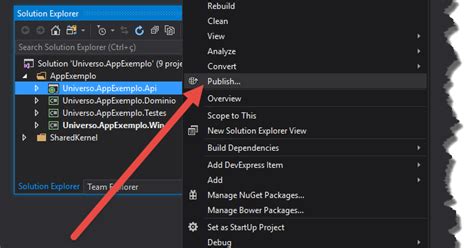Rodrigo Sendin Publicação Manual De Webapi No Iis