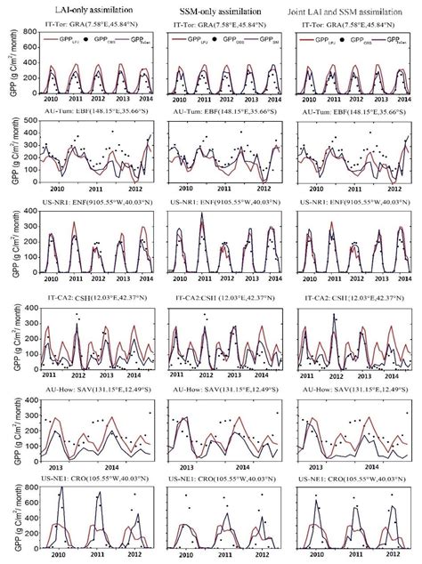 Hess Simulating Carbon And Water Fluxes Using A Coupled Process Based Terrestrial Biosphere