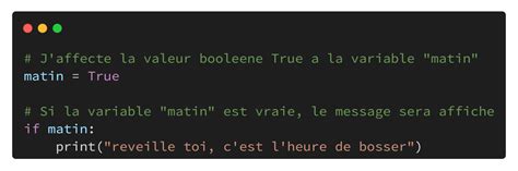 Python Le Guide Des Instructions Conditionnelles