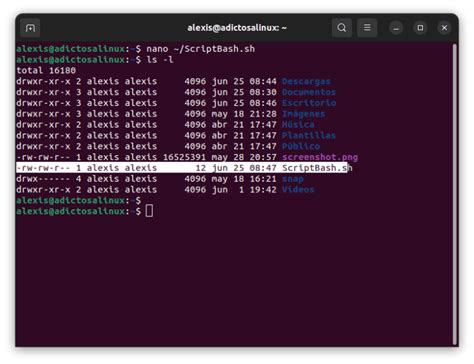 Introducción A Los Scripts Bash En Linux ¡crea Tu Primer Script
