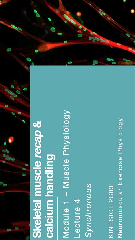 2c03 W2 L12 4 Ryanodine Continued Kinesiol 2c03