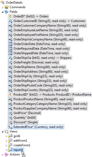 Code On Time Sample Applications Order Form Report Creating A