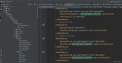 附加：spring Boot项目中，spring相关依赖分析；（主要是spring Boot Starter依赖、spring Boot
