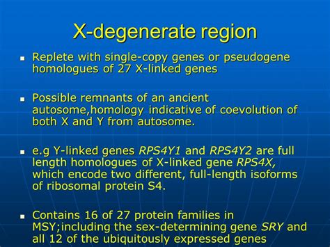 High Mutation Rates Have Driven Extensive Structural Polymorphisms