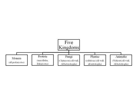Five Kingdom Classification Given By R J Whittaker Ppt