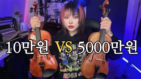 10만원대 바이올린vs5000만원대 바이올린 ㅣ10만원대 바이올린 추천🎻stentor 1018ㅣ초보자용 바이올린 구매 꿀팁