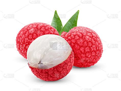 叶子孤立在白色背景上的荔枝