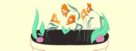 Questions About Lupus Tests Diagnosis And Coping