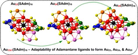 Au24 Sadm 16纳米分子：x射线晶体结构、理论分析、金刚烷配体形成au23 Sadm 16和au25 Sadm 16的适应性及其与au25 Sr 18的关系 Journal Of