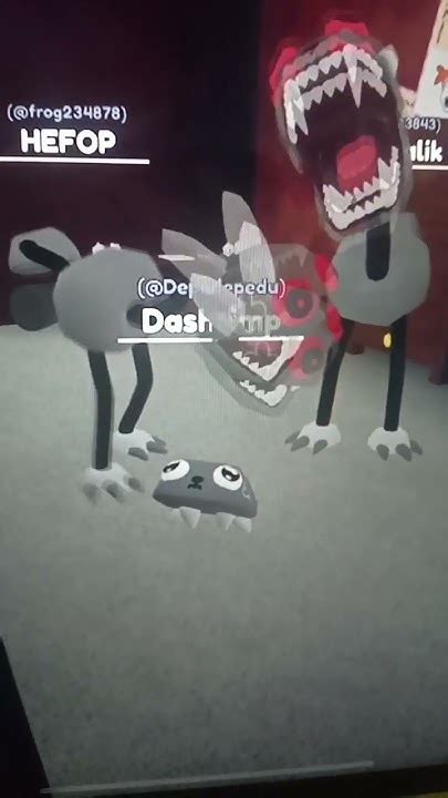 нови тернд Youtube