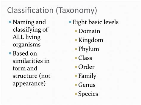 Classification Taxonomy Ppt Download