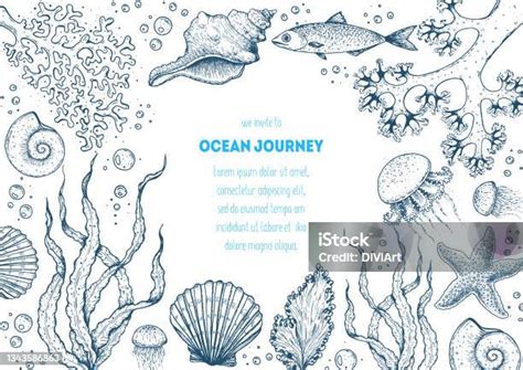 수중 세계 손으로 그린 컬렉션 스케치 일러스트레이션 해초 산호 조개 불가사리 해파리 생선 일러스트레이션 빈티지 디자인 템플릿 해저 세계 컬렉션 식물학에 대한 스톡 벡터 아트