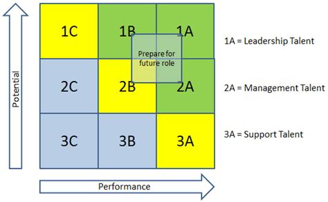 The Performance And Potential Matrix Expert Program Management