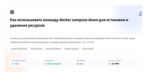 Как использовать команду Docker Compose Down для остановки и удаления ресурсов Labex