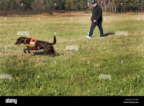 The Usdas Nutria Eradication Program Focused On Controlling Invasive