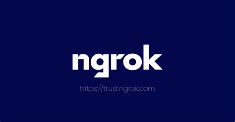Ngrok Blog Announcing The Ngrok Security And Trust Portal