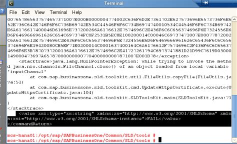 Solved Sap Hana 91 Pl 3 Certificate Issues Sap Community