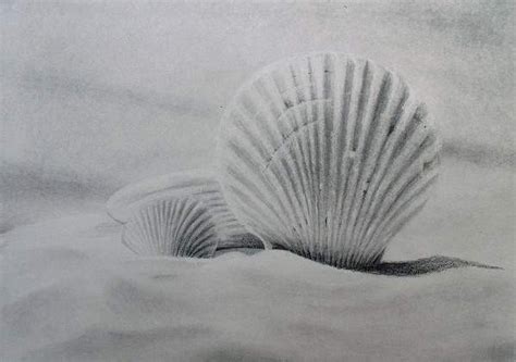 How To Draw Seashells Online Art Lessons How To Draw Seashells Online Art Lessons