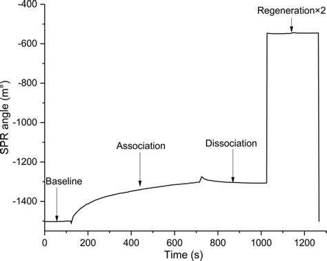 the spr response curve of the entire process download scientific diagram