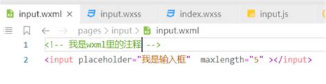 最新最全的微信小程序入门学习教程，微信小程序零基础入门到精通前端 微信小程序学习 免费 Csdn博客