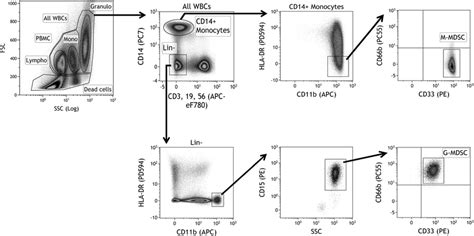 Flow Cytometric Identification Of Myeloid Derived Suppressor Cells