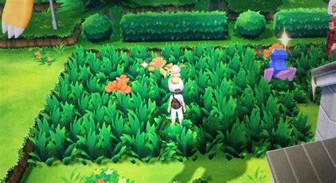 855 Best Lgpe Images On Pholder Shiny Pokemon Pokemon Masters And Pokemon Home