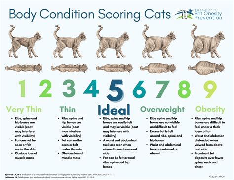 Cat Body Condition Scoring — Association For Pet Obesity Prevention