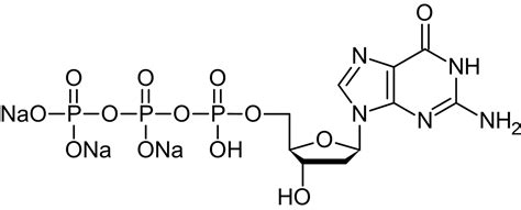 2 Deoxyguanosine 5 Triphosphate [dgtp] Trisodium Salt，purine Nucleoside Triphosphate