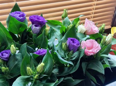 Iryna Chernatkina On Linkedin Logic Logistic Move Tábor