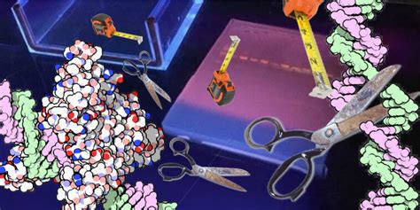 Classes And Events Biotech Without Borders