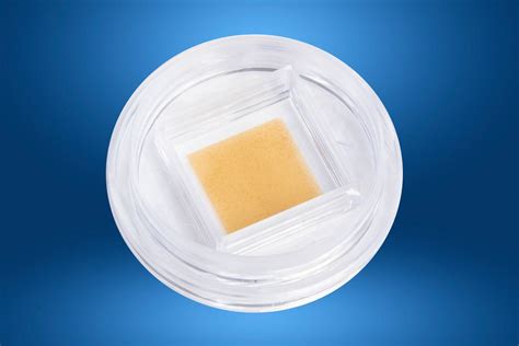 Cell Microsystems Cellraft Arrays