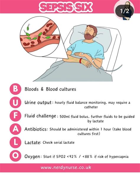 Dr Muhammad Noman On Linkedin Sepsis Six