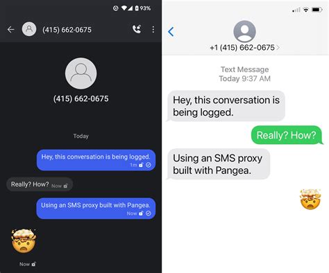 secure audit log sms proxy pangea