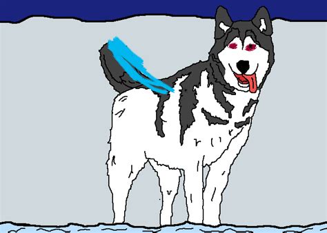 Wolf Girl Foxs Gallery Pixilart