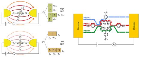 Single Molecule Devices Research Group Mayor