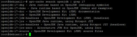 How To Install Java 17 Jdk 17 On Debian 11