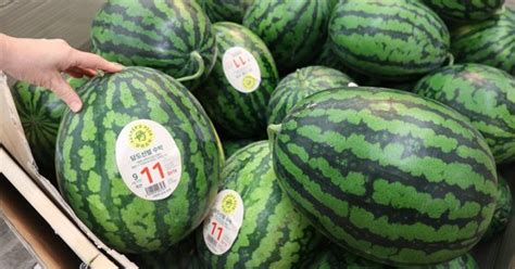 서장 수박 먼저 안먹겠다 외치게한 찌질갑질 소방서장 최후