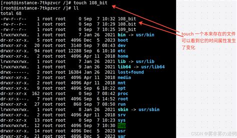 《linux 基础指令实战：新手入门的命令行操作核心教程（第一篇）》 Csdn博客