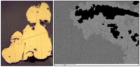 Beauce Gold Fields Examines Gold Nuggets Patrick Levasseur Posted On The Topic Linkedin