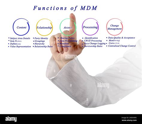 Functions Of Master Data Management Stock Photo Alamy
