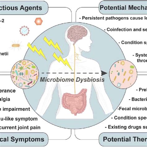 Overview Of The Microbiome In Pais Download Scientific Diagram