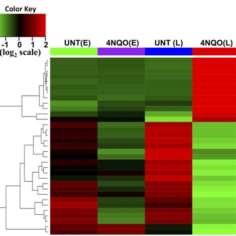 Figure S Heatmap Analysis On The Genes Involved In Cell Download Scientific Diagram